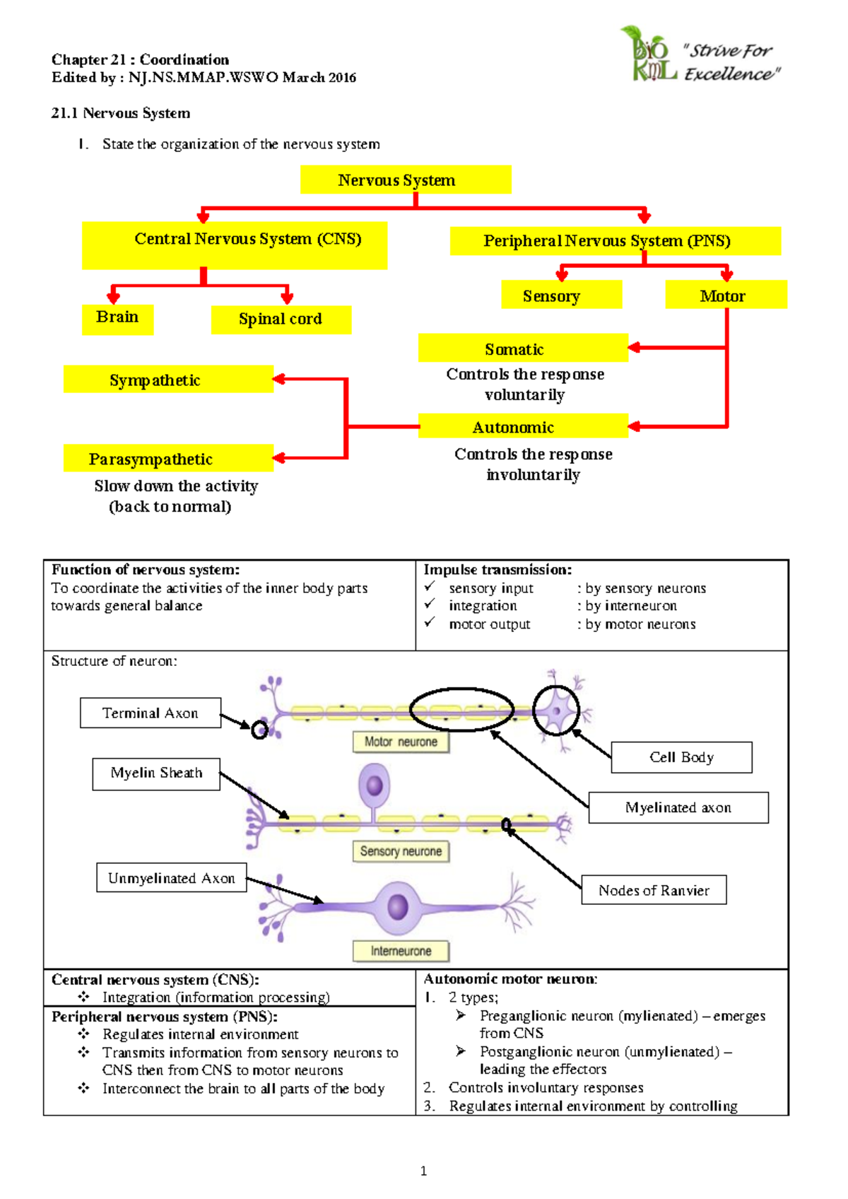 Chapter 21 Coordination - Edited by : NJ.NS.MMAP March 2016 21 Nervous ...