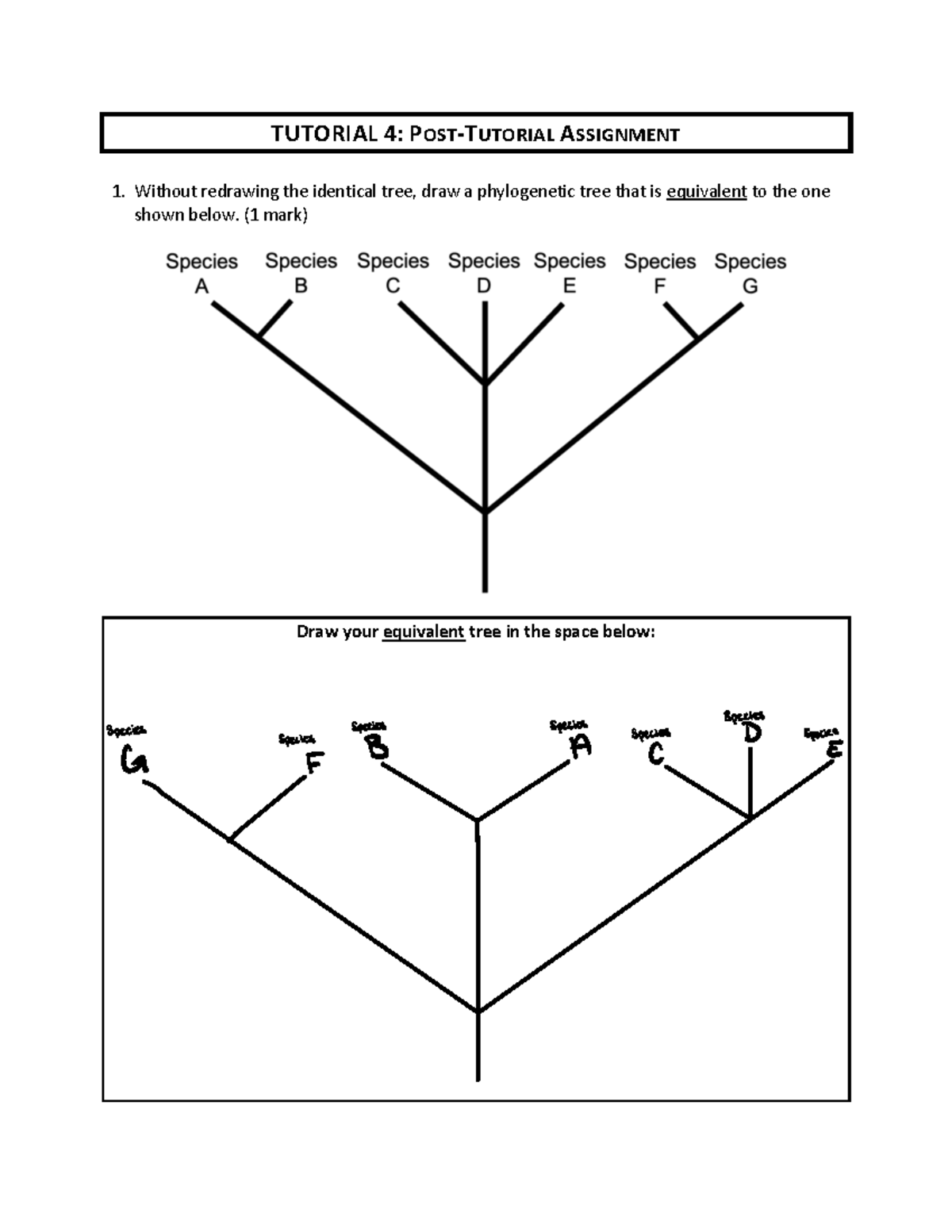 Biology 1m03 2 Post Tutorial 4 Assignment 4 Tutorial 4 P Ost