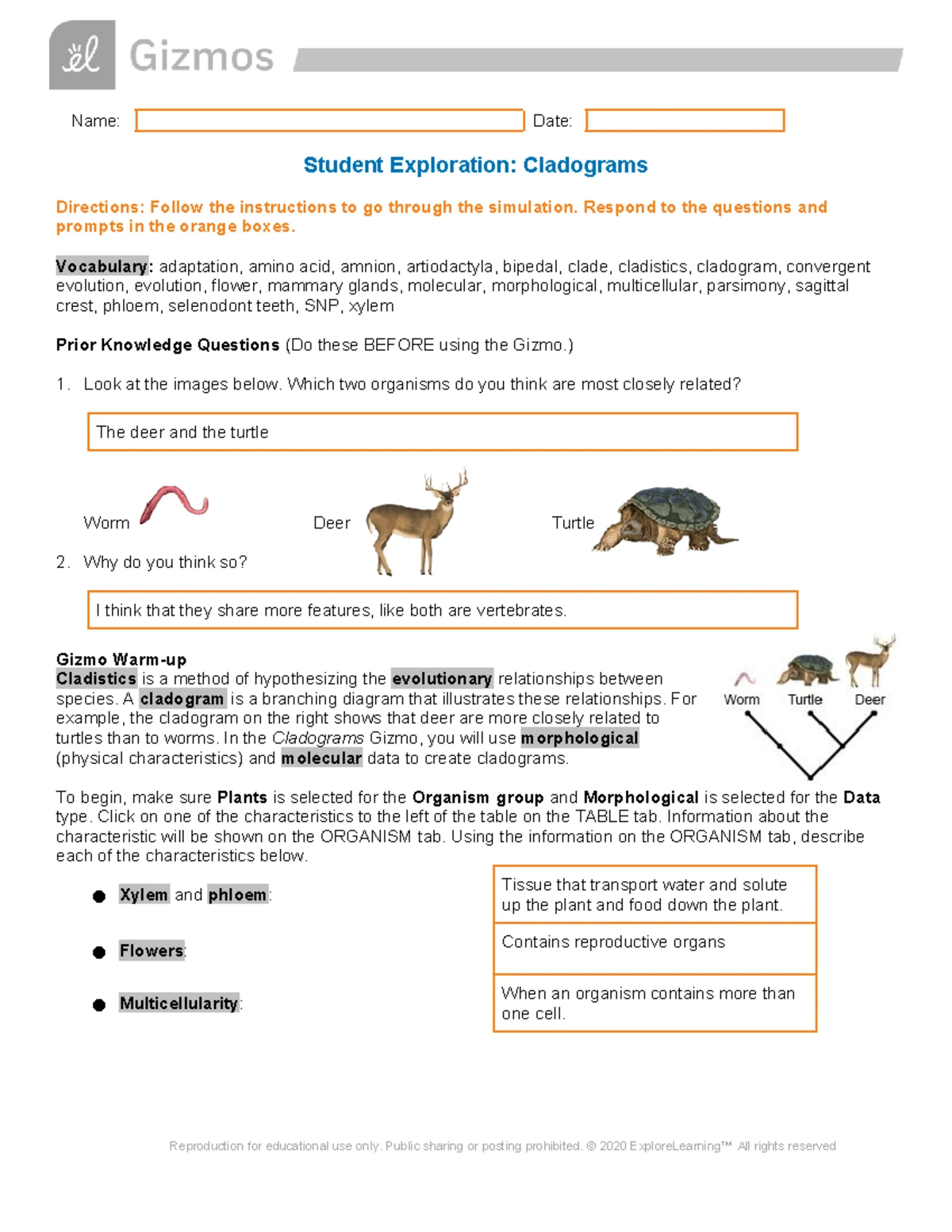Biology I EOC Review Guide: Key Concepts & Practice (SC.912) - Studocu