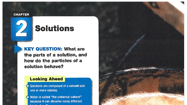 CHAPTER 2 Solutions: Understanding Solutes and Solvents - Studocu