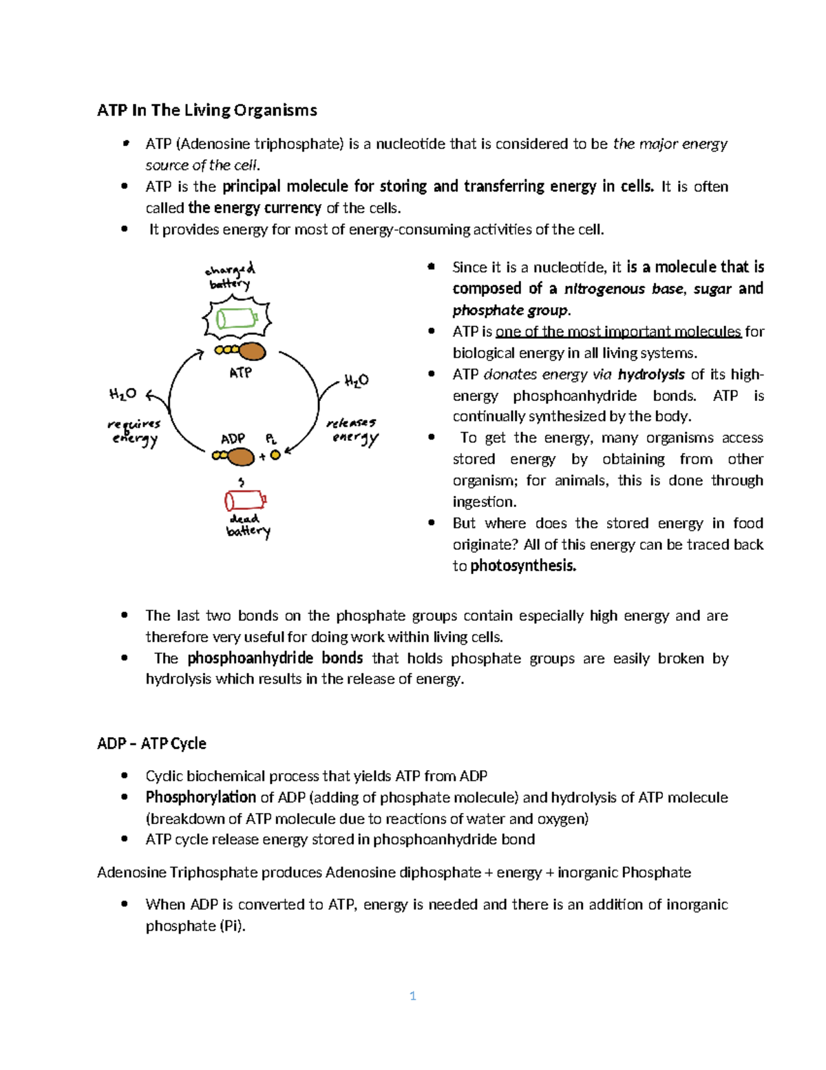 Biology Reviewer - ATP In The Living Organisms ATP (Adenosine ...