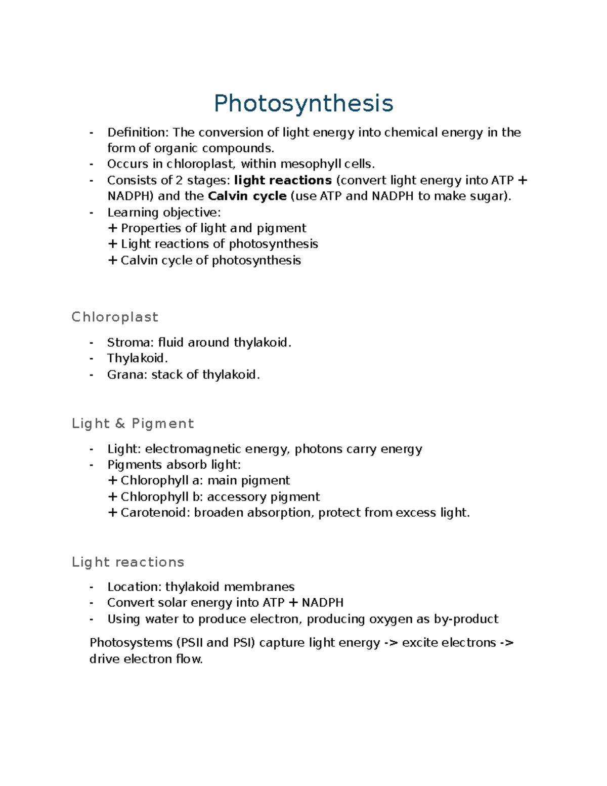 Photosynthesis Overview: Light Reactions & Calvin Cycle Explained - Studocu