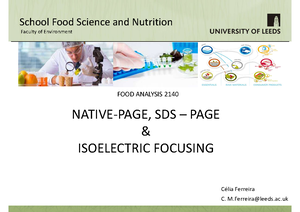 SDS-PAGE Lab Report - BS2520 SDS-PAGE Lab Report Introducion This ...