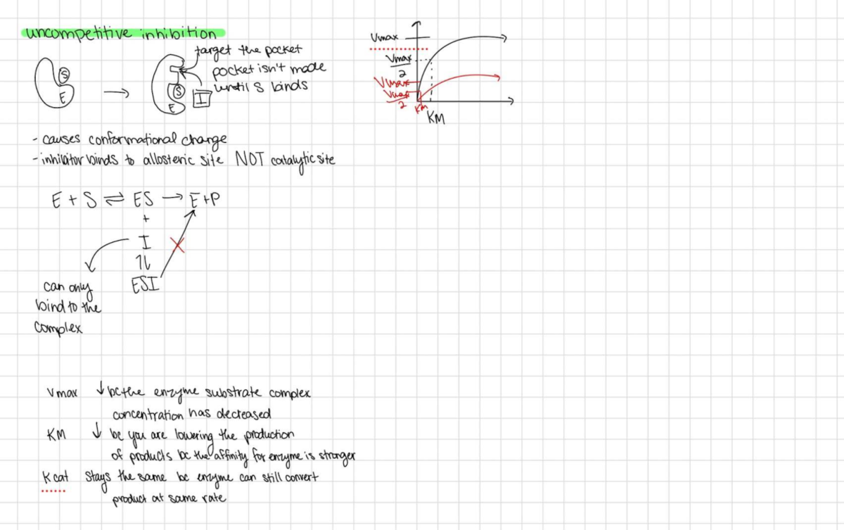 Final Exam Study Guide for Course XYZ: Key Concepts - Studocu