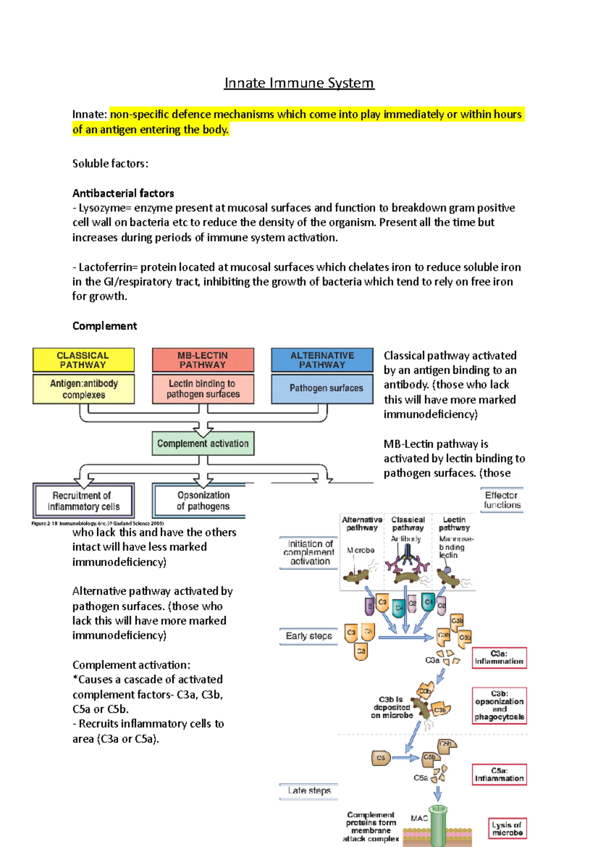 Innate Immune System - Innate Immune System Innate: non-specific ...