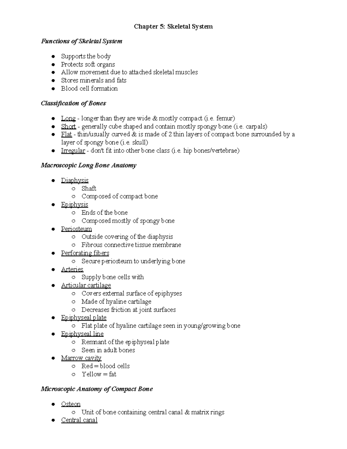 BSC2085 Exam 2 Study Guide: Skeletal & Muscular Systems Overview - Studocu