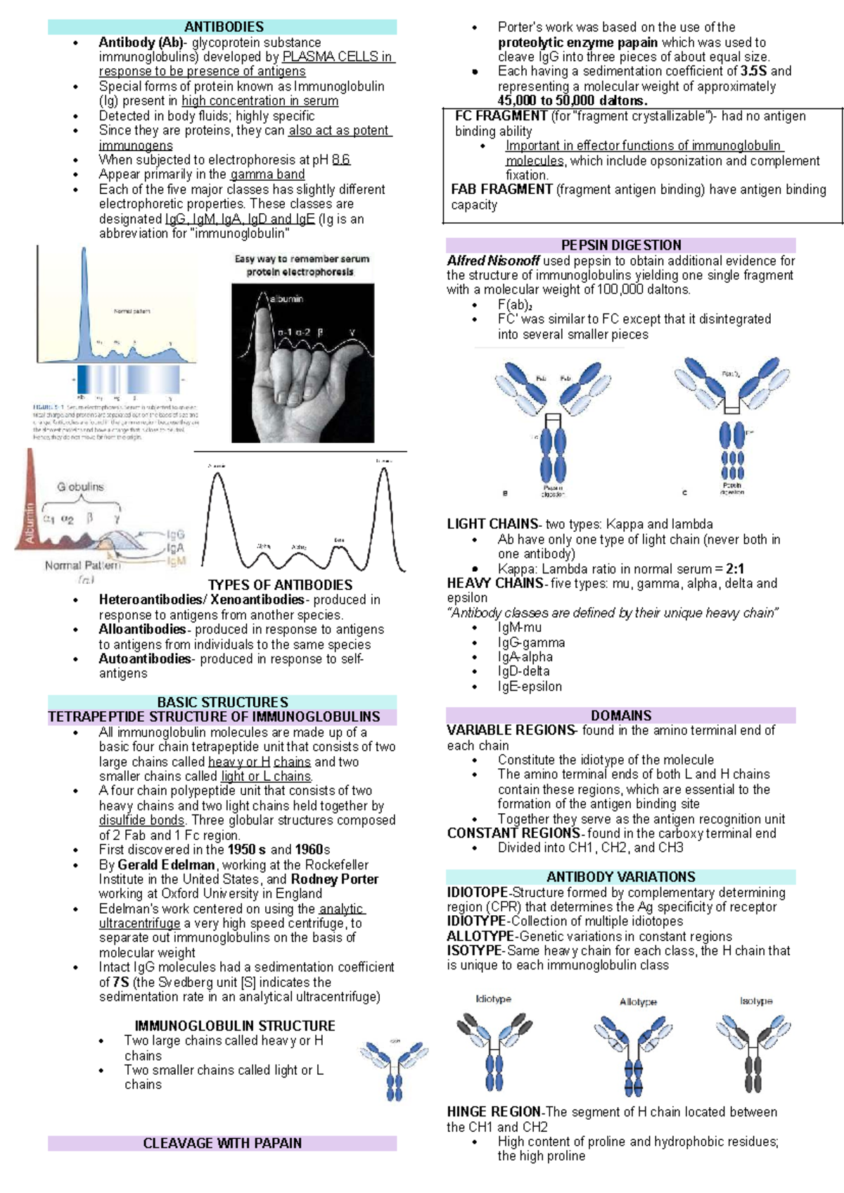 Antibody structure and function overview - ISBB antibody summary - Studocu