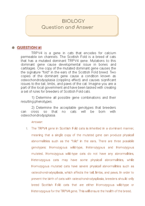 Science Technology and Society Quiz - Science, Technology, and Society ...