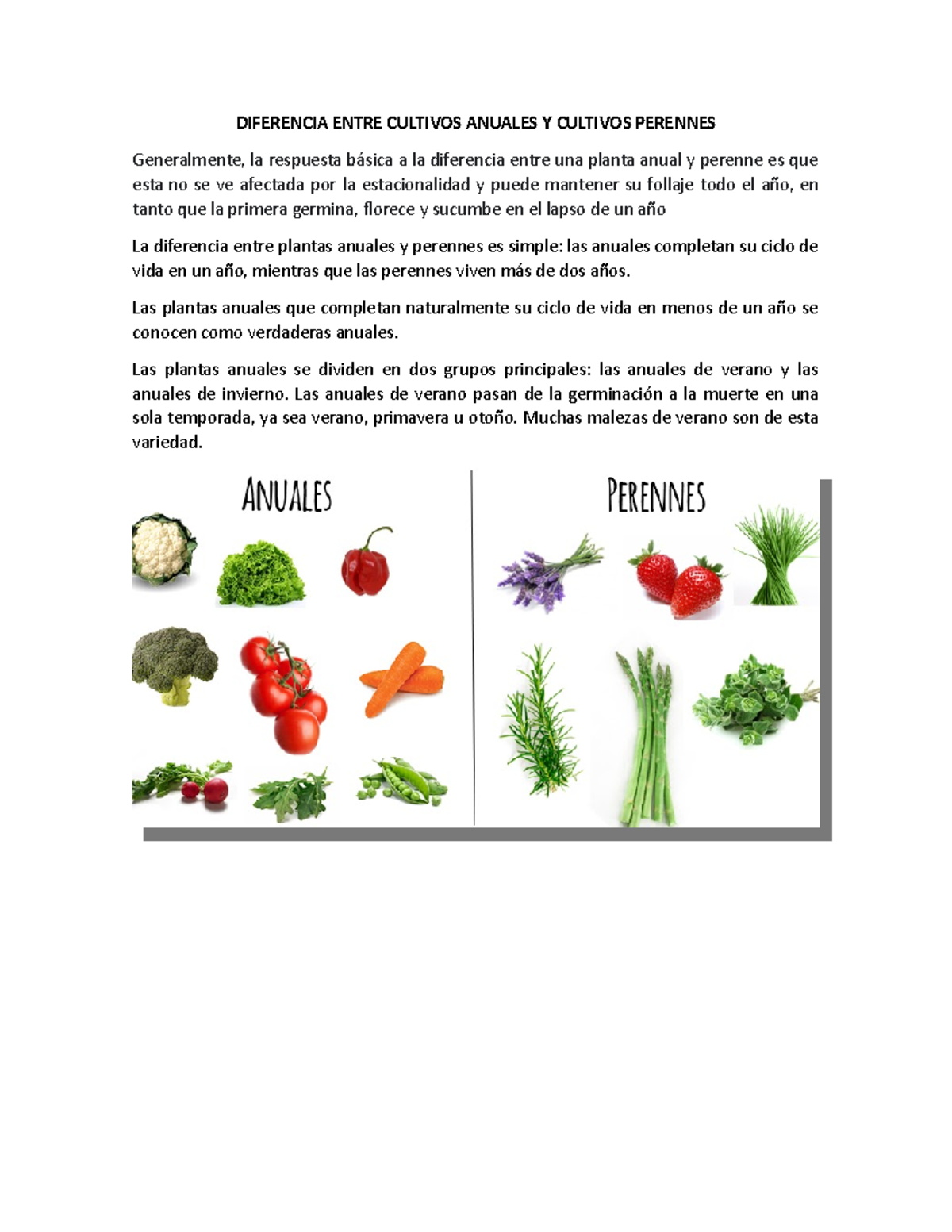 Diferencia Entre Plantas Perennes Y Anuales 10 Especies De Plantas