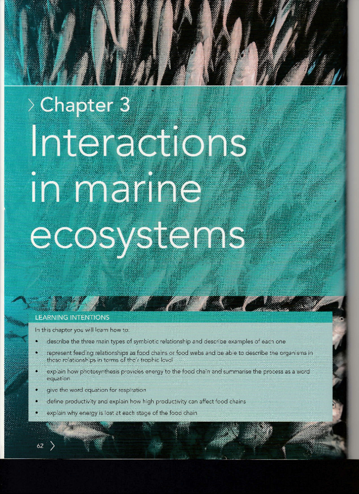 Gulf of Mexico Dead Zone: Formation, Impact, and Management Strategies ...