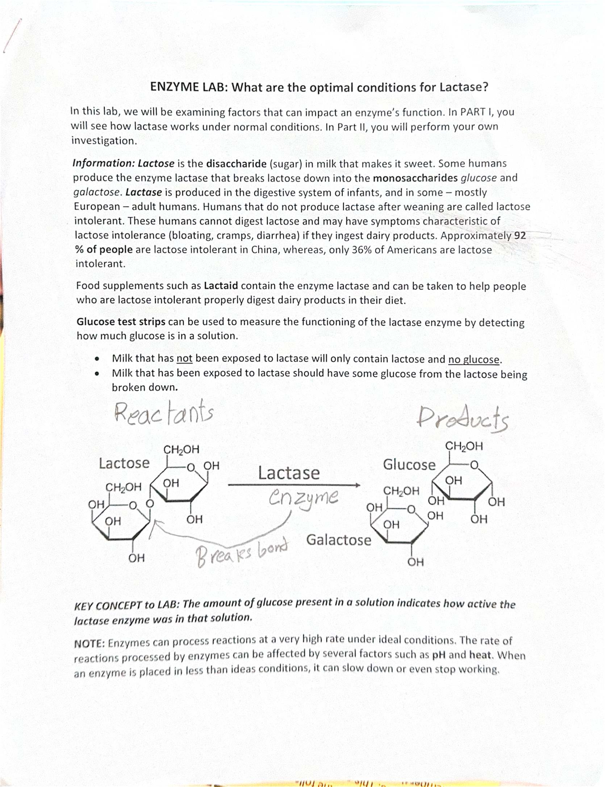 ENZYME LAB: Investigating Optimal Conditions for Lactase Activity - Studocu