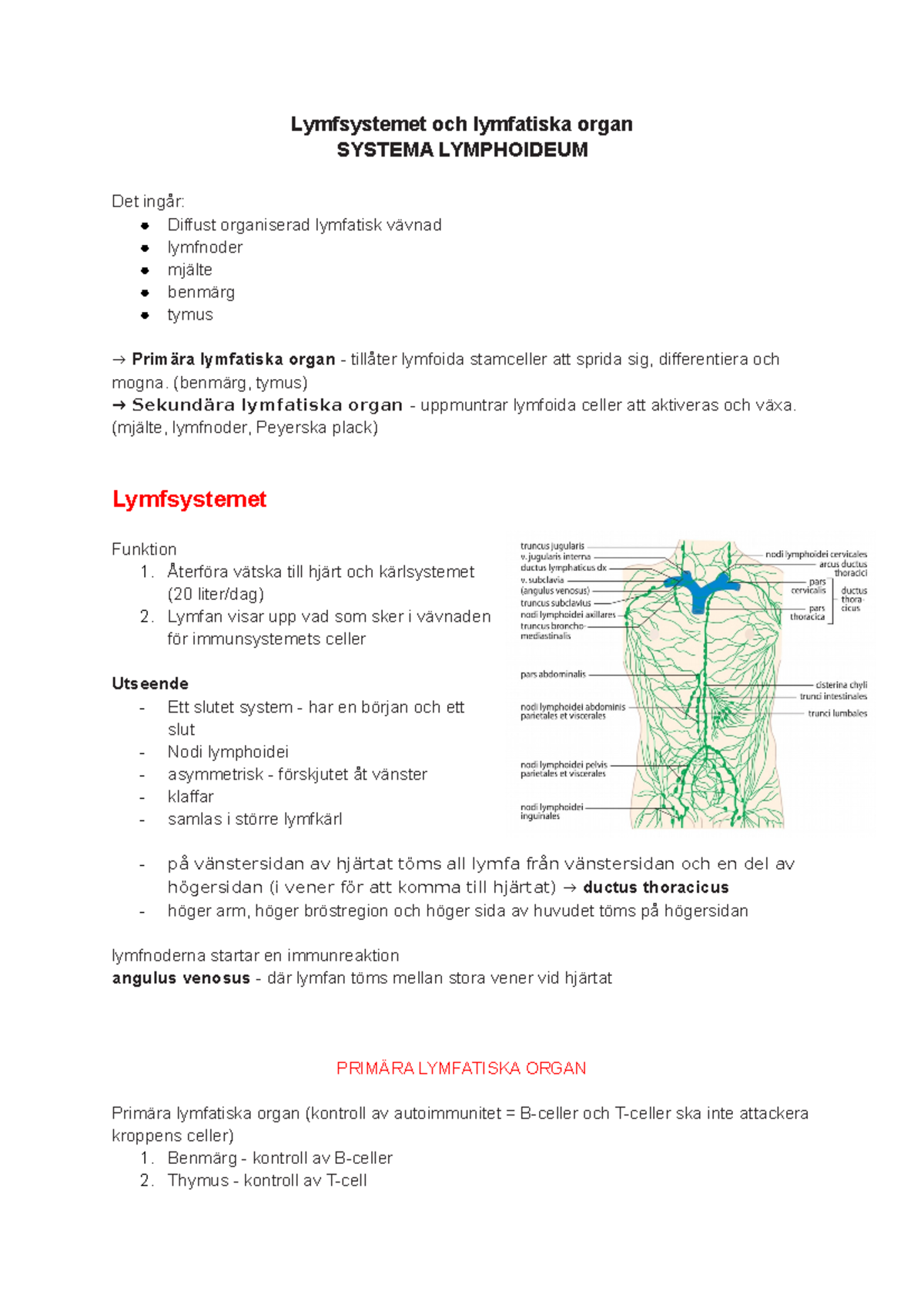 **Kursnoteringar: Lymfsystemet och Lymfatiska Organ (Systema ...