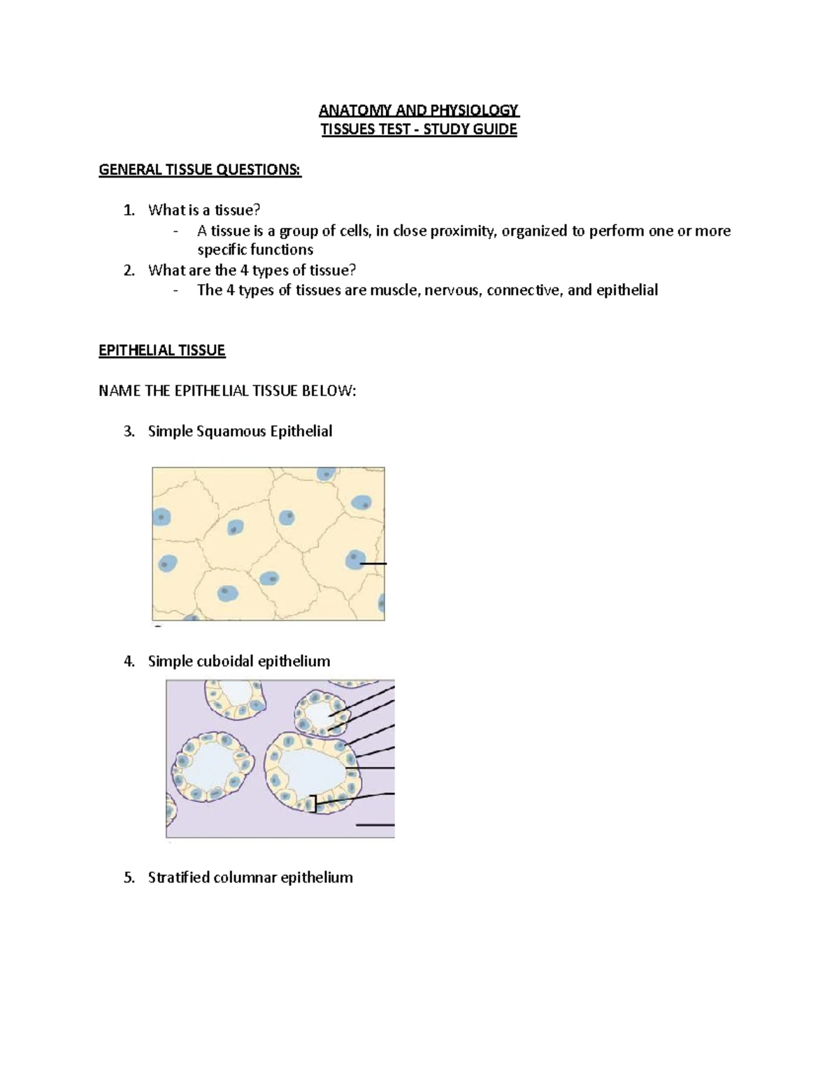 BIO202 Microscopy Lab Notes: Magnification, Resolution, and ...