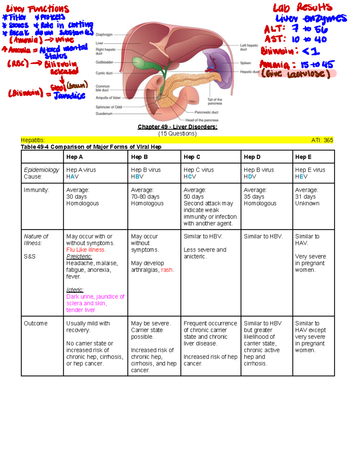 Adult Health 2 Exam 4 - Blueprint: Liver Disorders & Hepatitis Overview ...