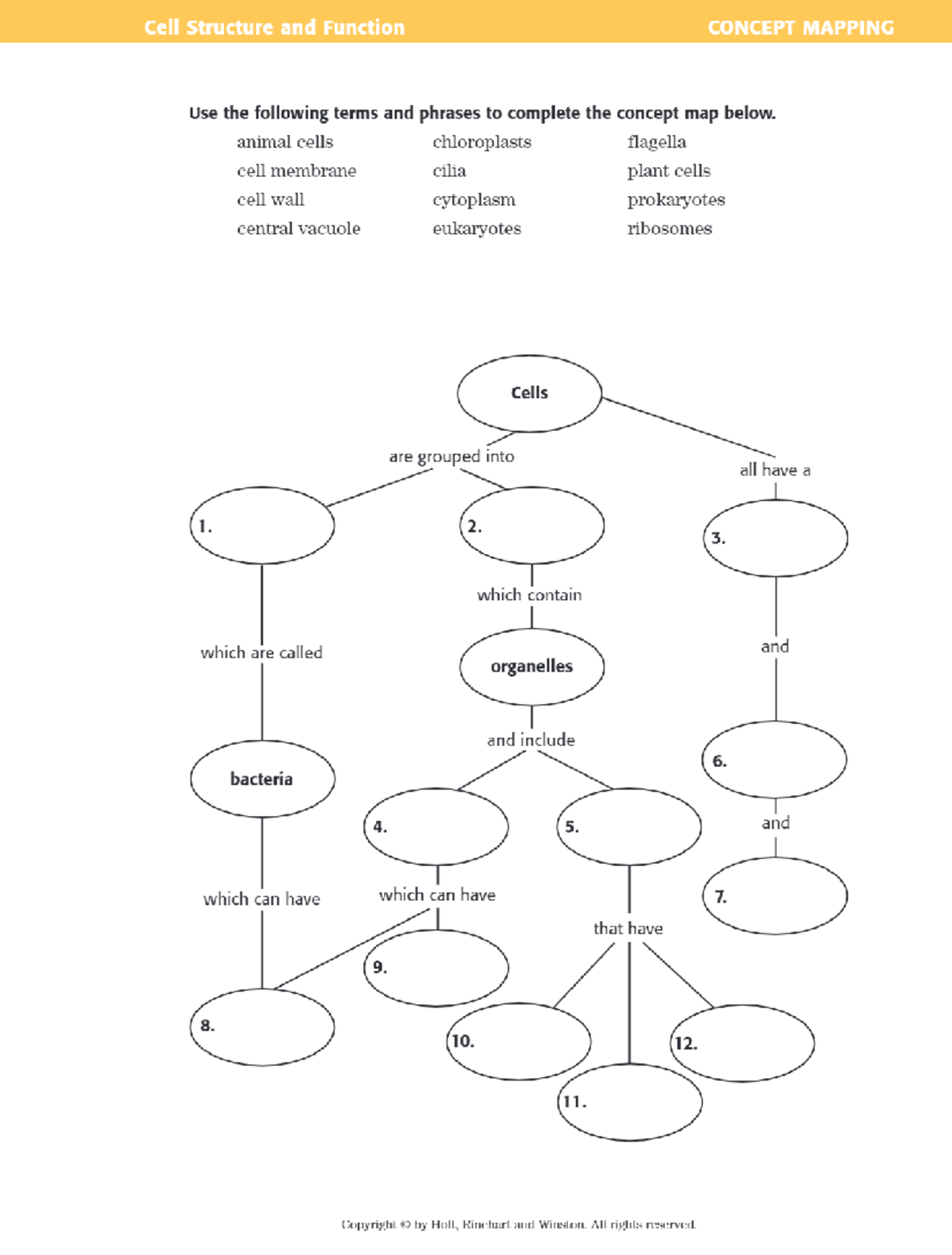 Cells concept map - Cell Structure and Function CONCEPT MAPPING Use the ...