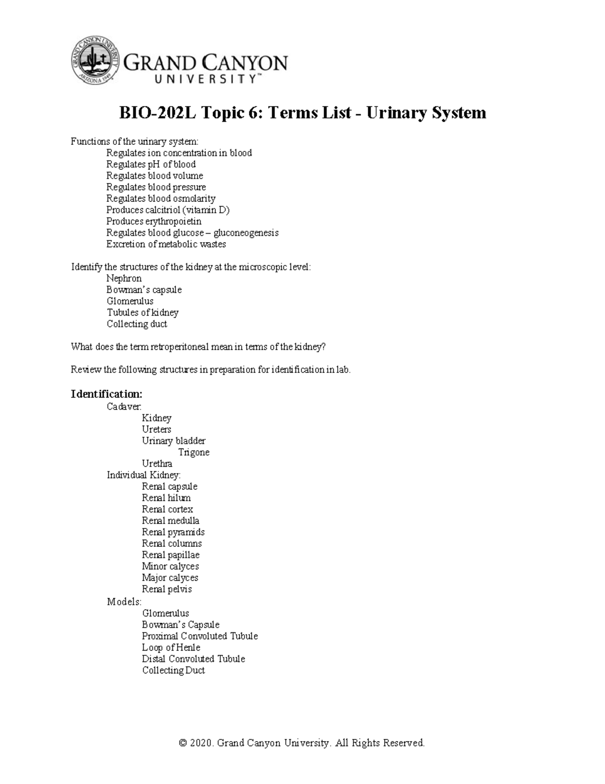 BIO-202L-Topic 6-RS-Term List Urinary System 2 - BIO-202L Topic 6 ...