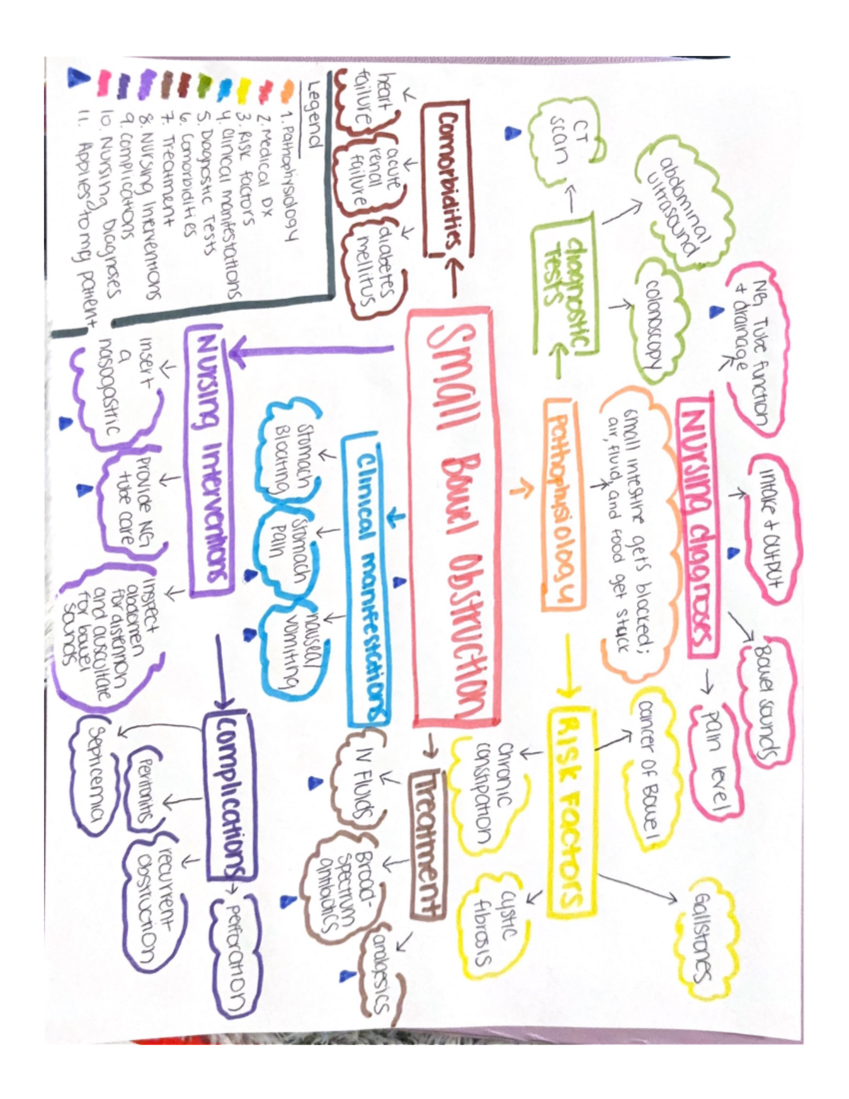 Clinical Paperwork: Pathophysiology & Nursing Diagnoses (Nursing 101 ...