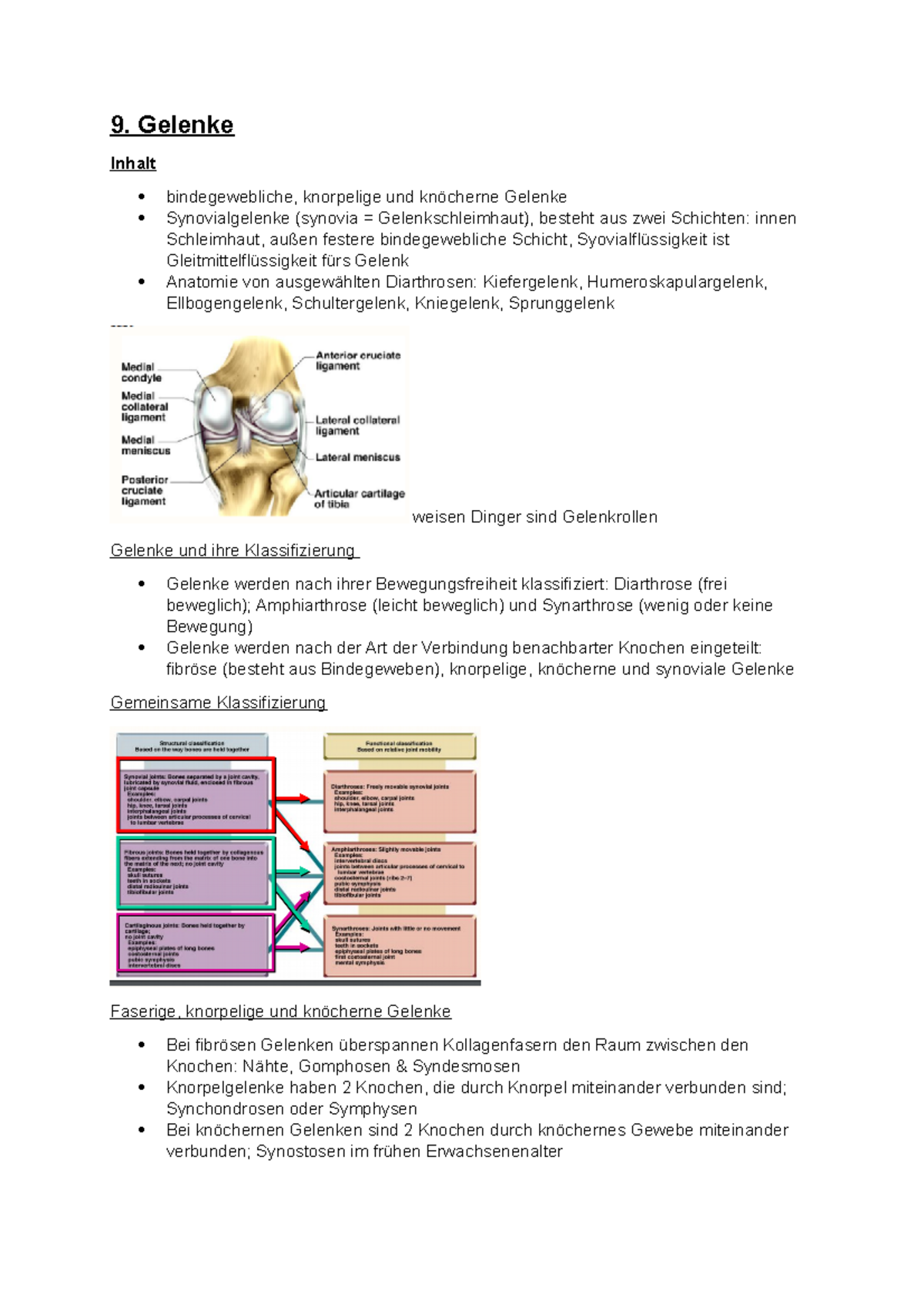 Gelenke und ihre Anatomie: Eine Übersicht der Gelenktypen und ...