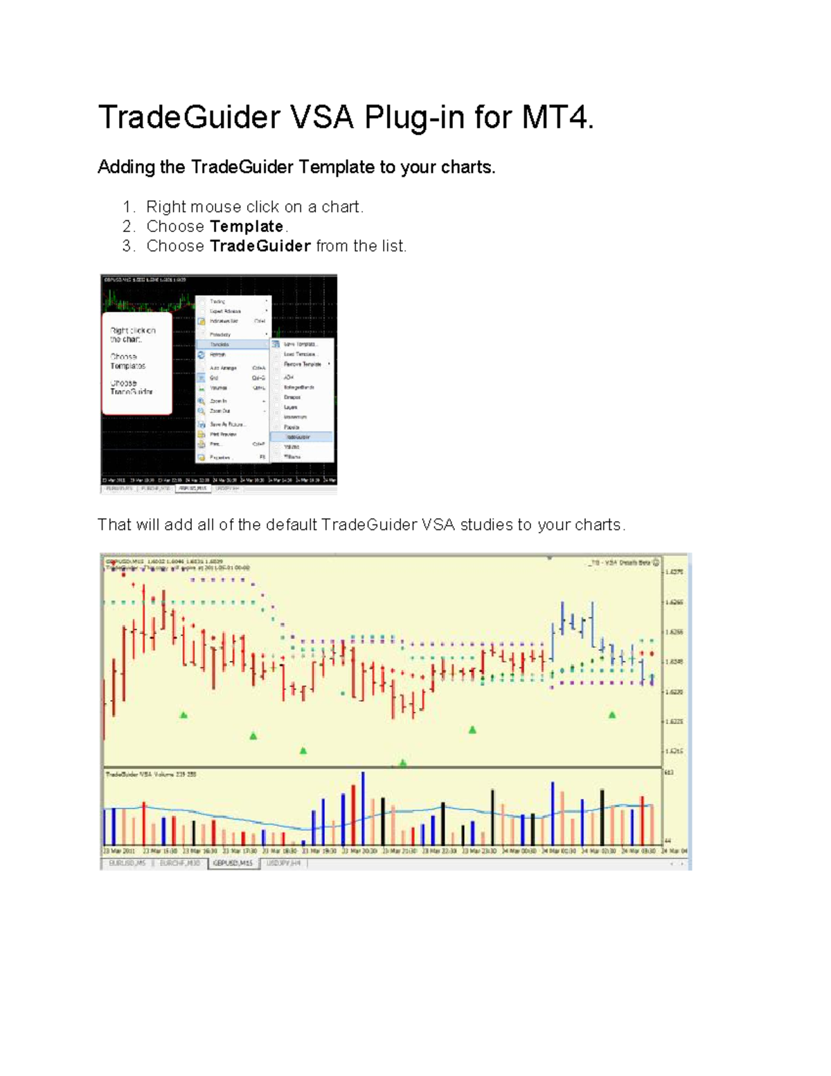TG VSA Plug-in MT4: Comprehensive User Guide for Traders - Studocu