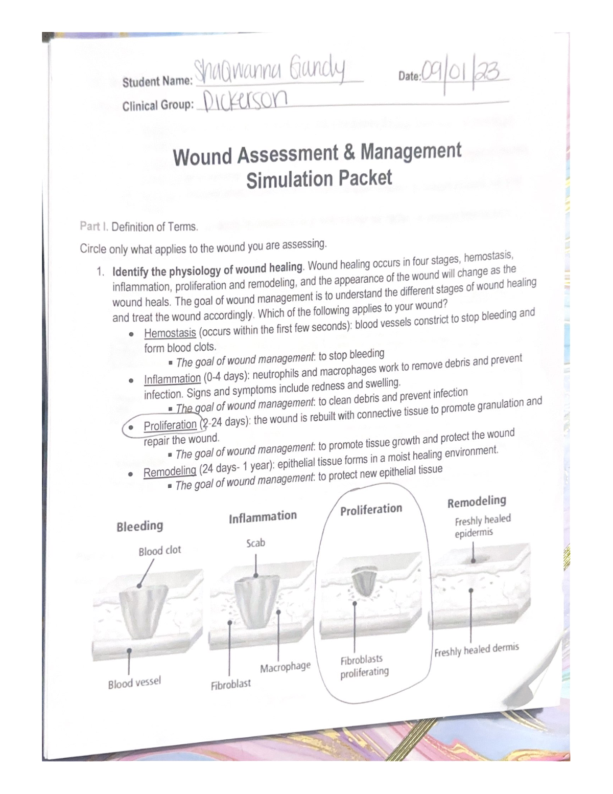 Wound Stimulation Package - NUR 3030 - Studocu
