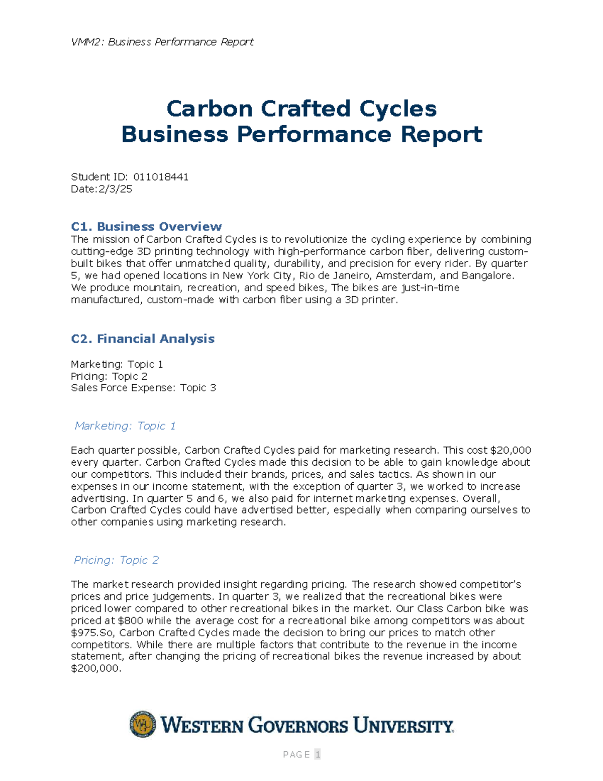 Performance Report - VMM2: Business Performance Report Carbon Crafted ...