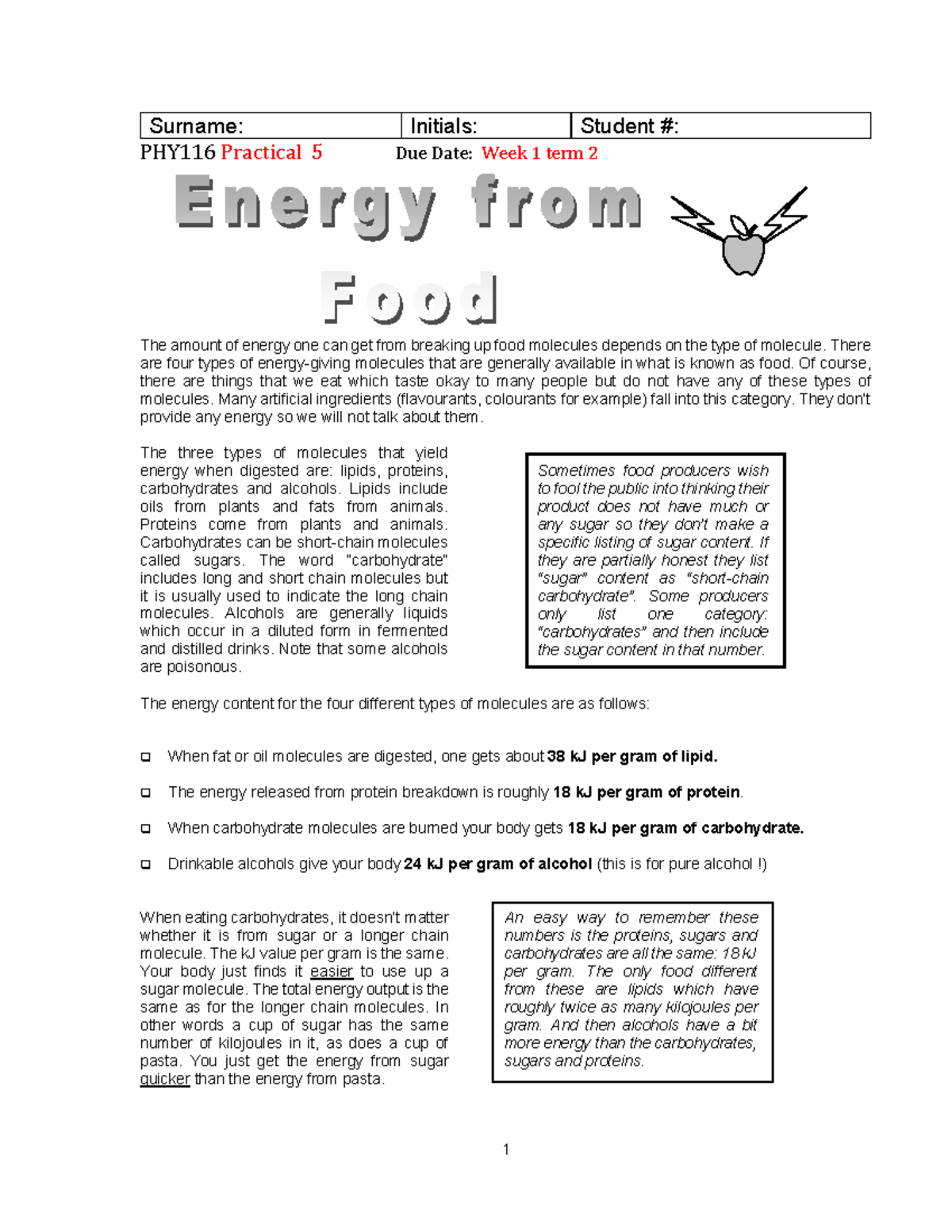 PHY116 Prac 5: Energy Content in Food Molecules Explained - Studocu