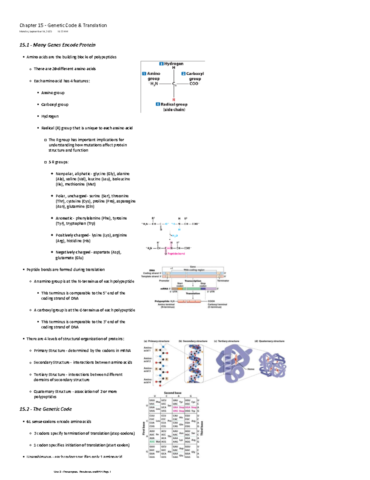 Chapter 15 - Overview of Genetic Code & Translation Processes - Studocu