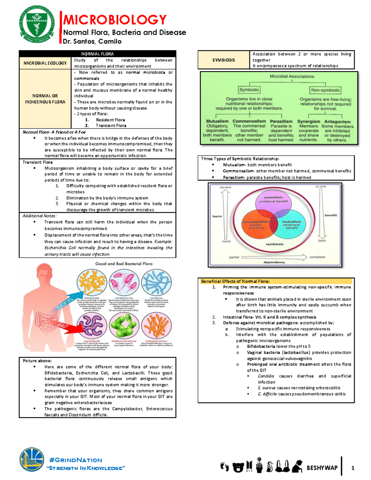 Microbiology 4: Understanding Normal Flora, Bacteria, and Disease - Studocu