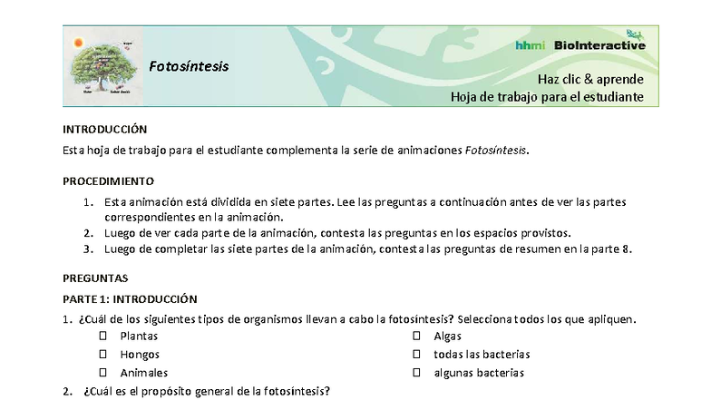 Fotosíntesis: Hoja de Trabajo para Estudiantes - Studocu