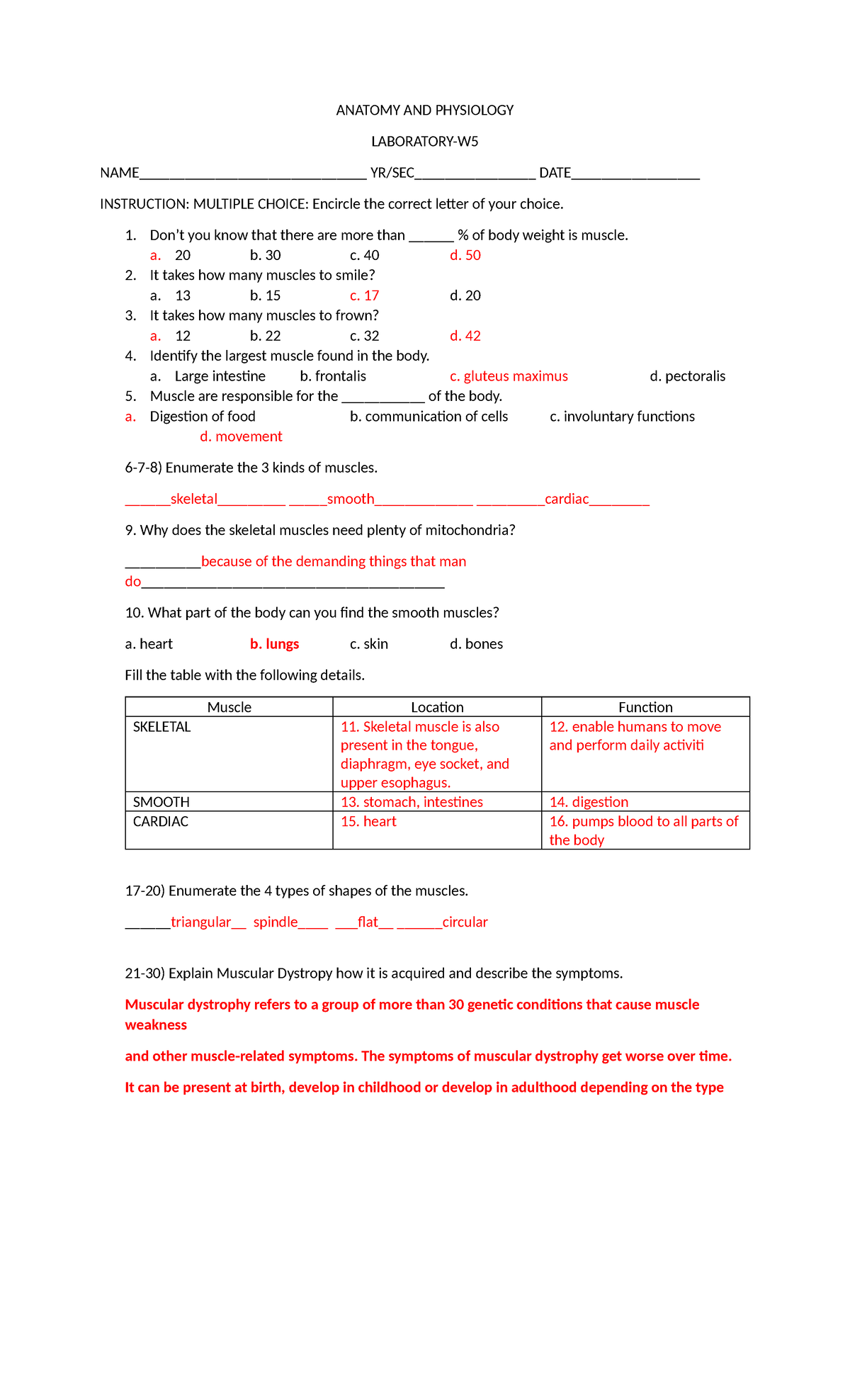 Answer KEY- Anatomy AND Physiology-LAB-W5- Muscular System Activity ...