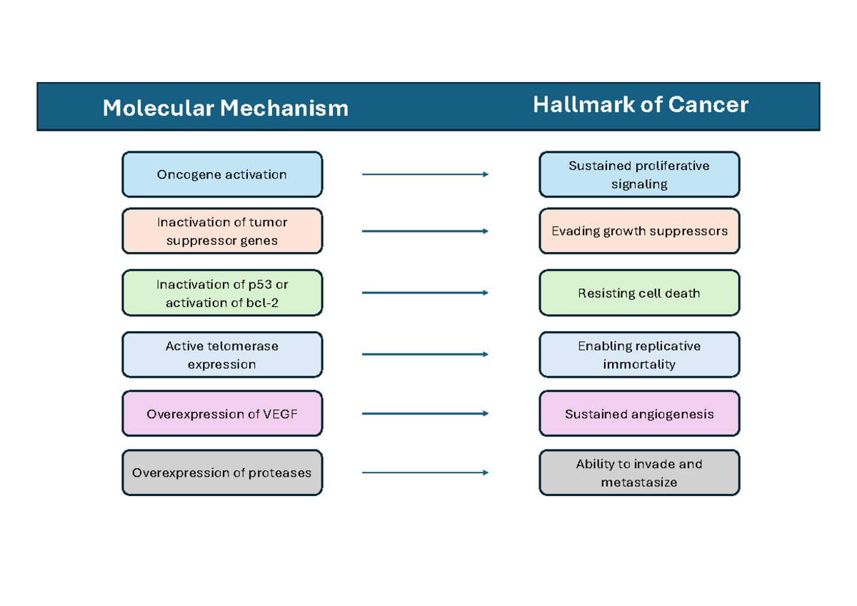 Hallmarks of Cancer - CPAT3201 - Oncogene activation Molecular ...