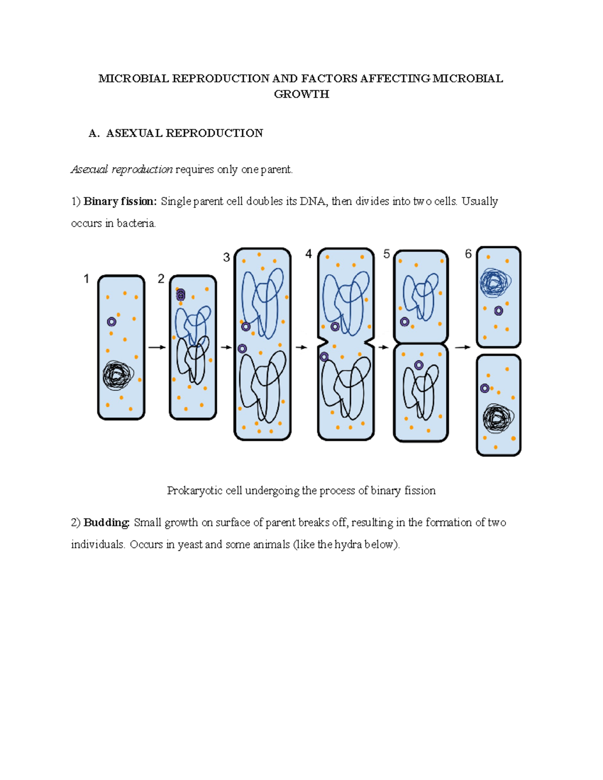 L1-Bacterial reproduction and factors affecting microbial growth ...