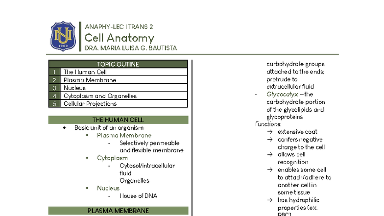 Anaphy LEC TRANS 2: Comprehensive Overview of Cell Anatomy - Studocu