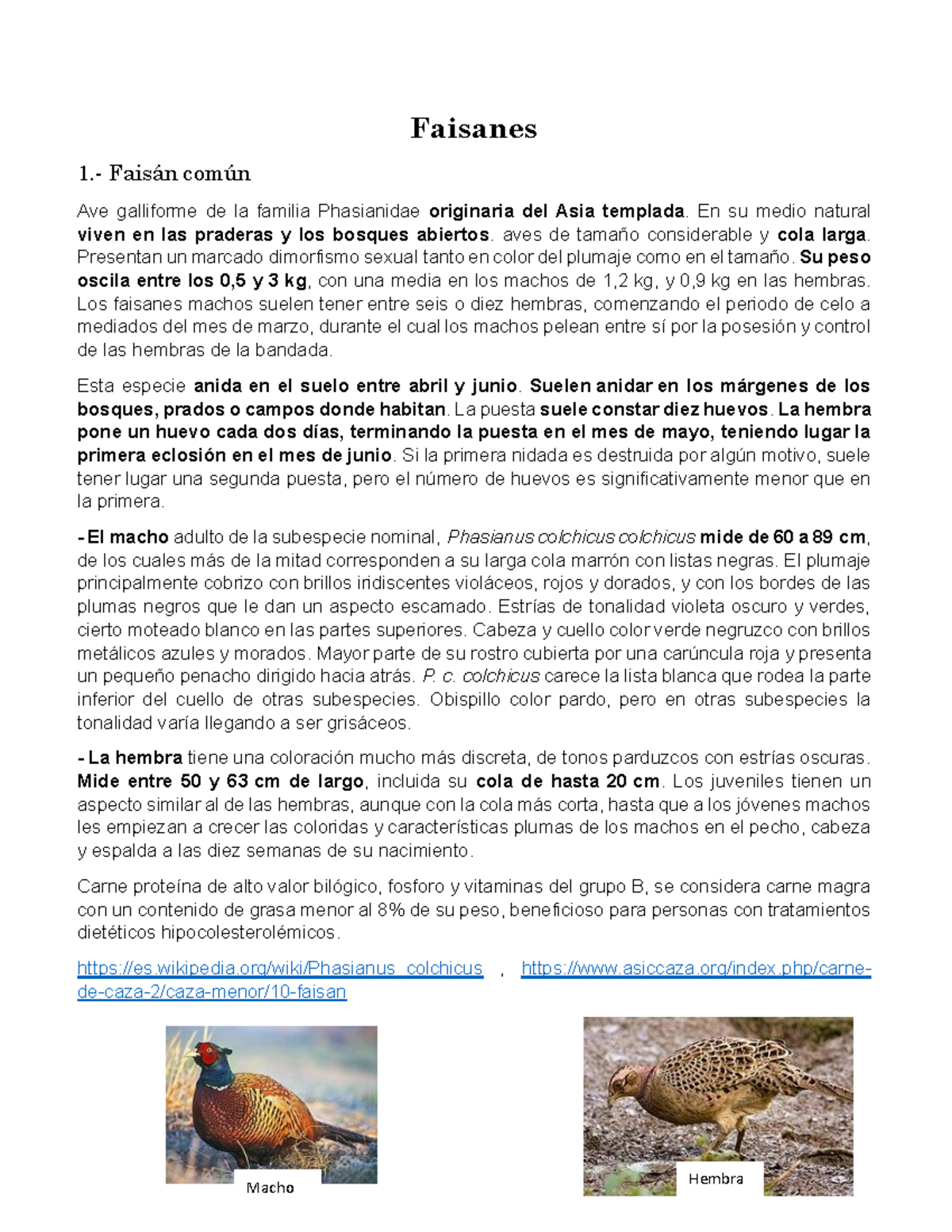 Aves de corral - Faisanes 1.- Faisán común Ave galliforme de la familia ...