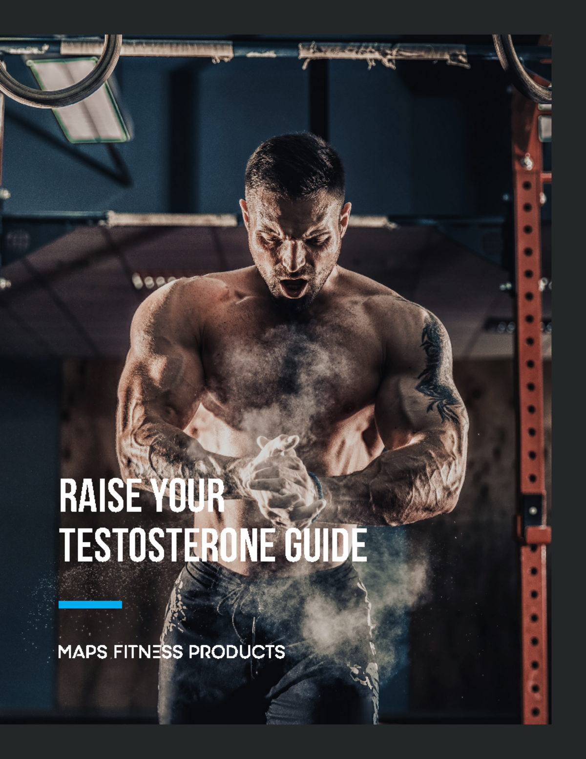 MP Guide to Naturally Raise Testosterone Levels - Studocu
