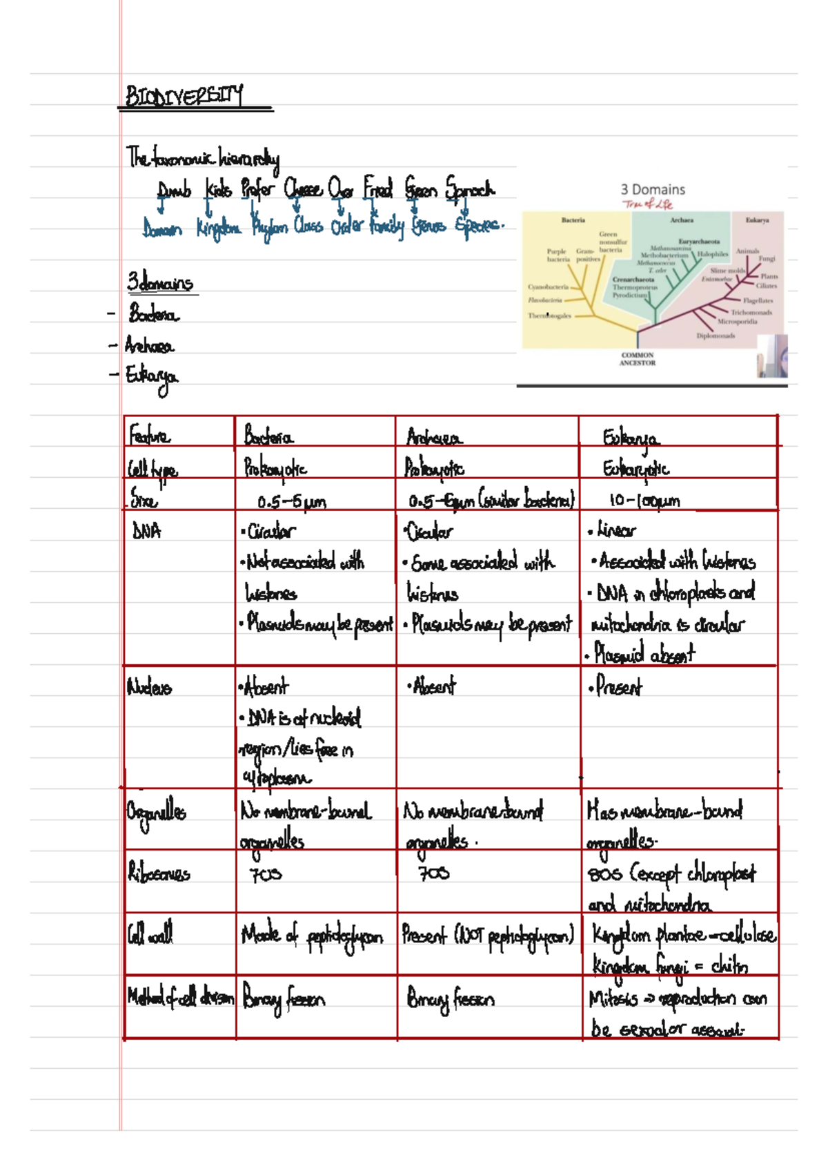 BIODIVERSITY (BIO101) - Taxonomic Hierarchy and Ecosystem Dynamics ...