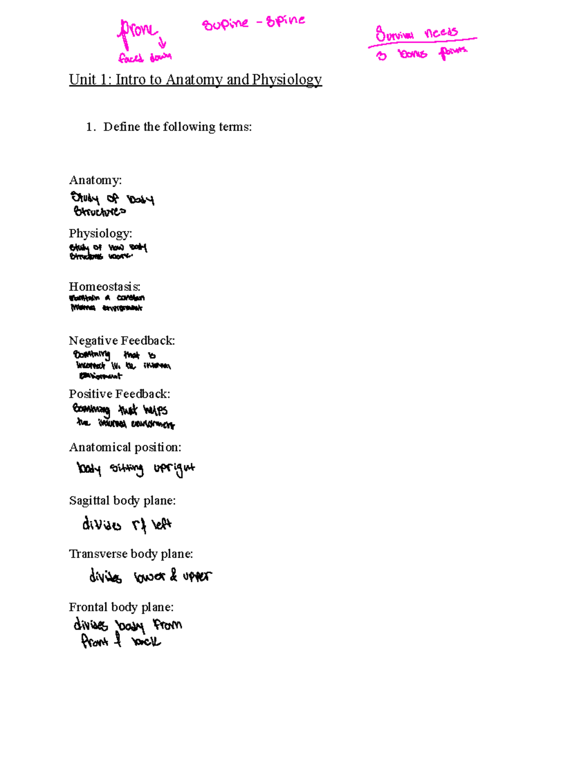 Anatomy & Physiology 1: Intro to Homeostasis & Body Systems Notes - Studocu