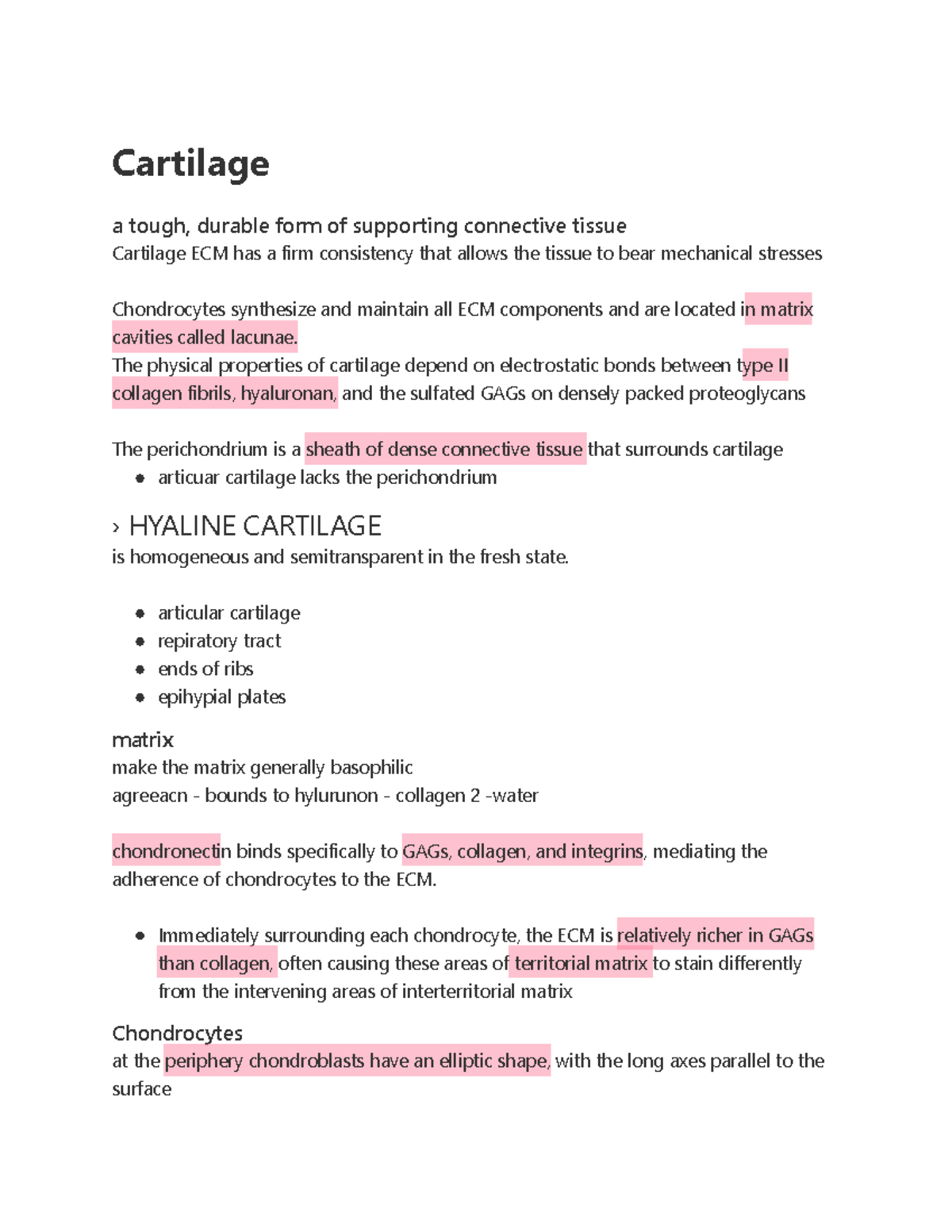 Cartilage - Histology - Cartilage a tough, durable form of supporting ...