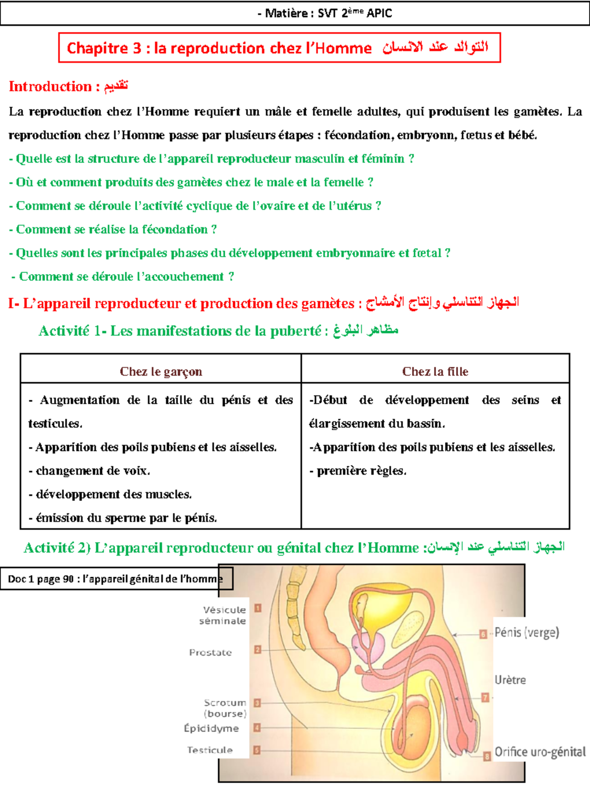 Chapitre 3 - La reproduction humaine et son développement (2ème APIC ...