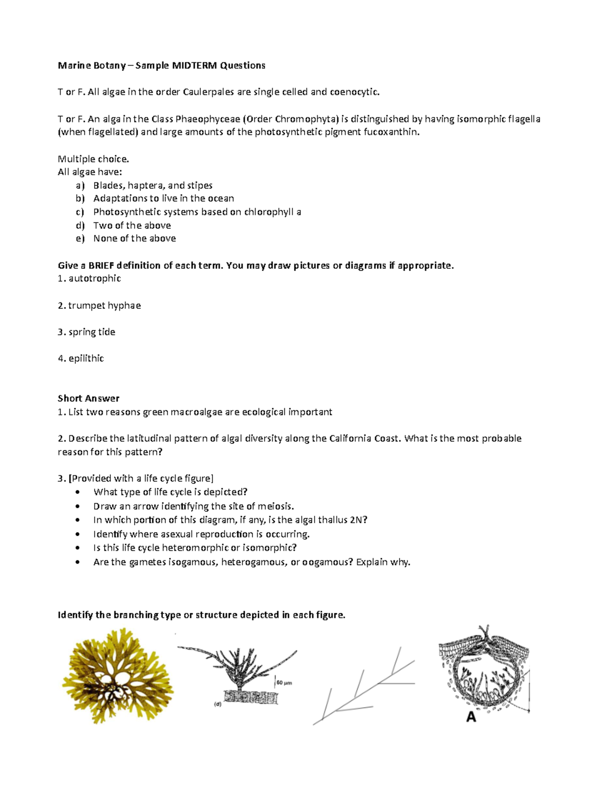 Marine Botany EEB101 Midterm Sample Questions & Definitions - Studocu