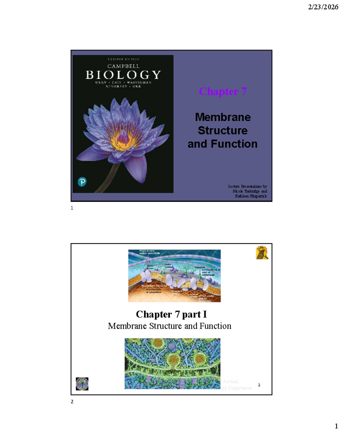 Lecture Notes: Chapter 7 - Membrane Structure and Function - Studocu