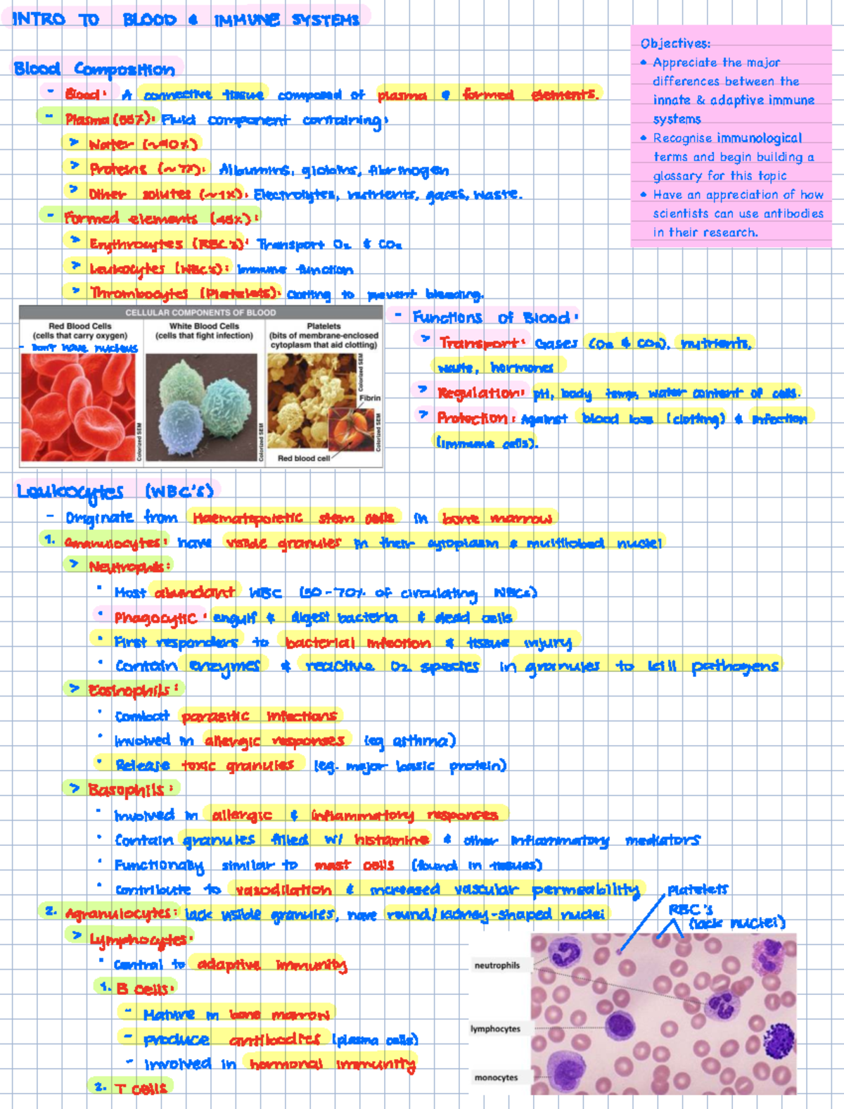 Lect 20 - Intro Blood & Immune System Summary - Biology for Biomedical Science: Cellular ...