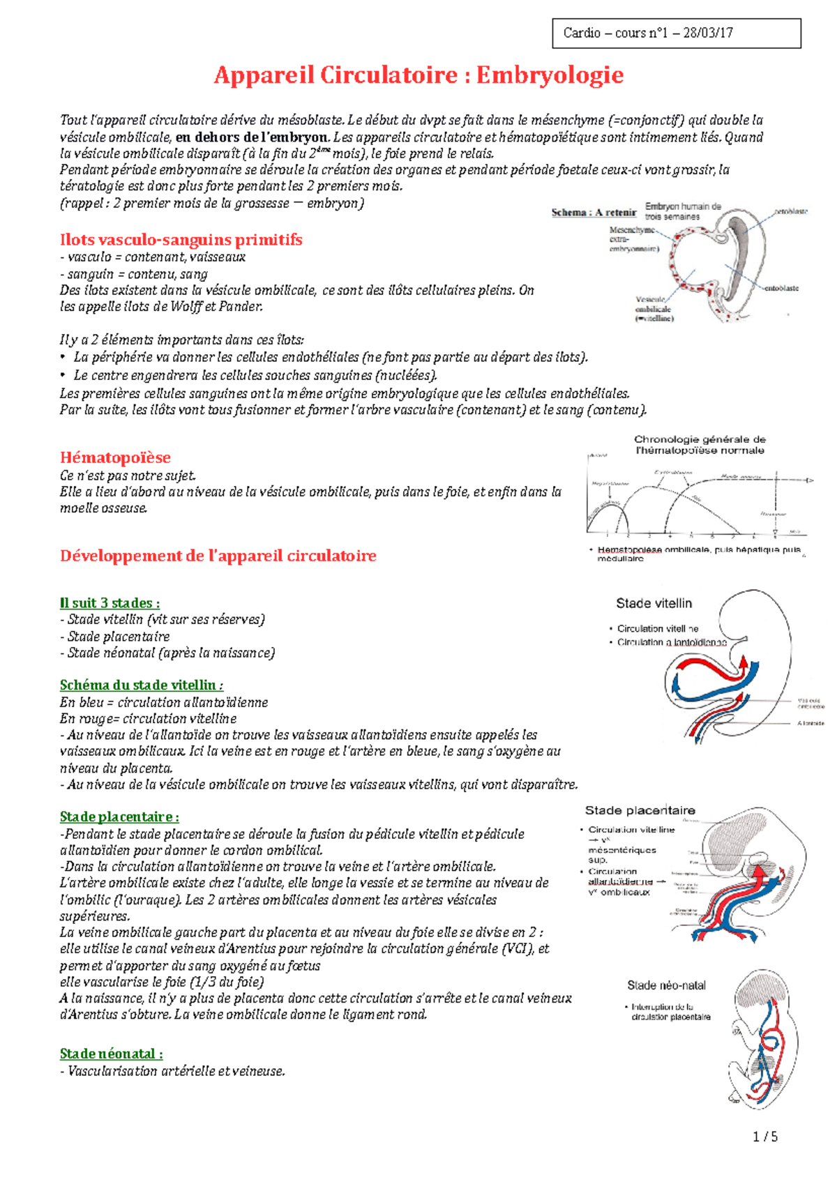 Embryologie du système cardiaque - Appareil Circulatoire : Embryologie ...