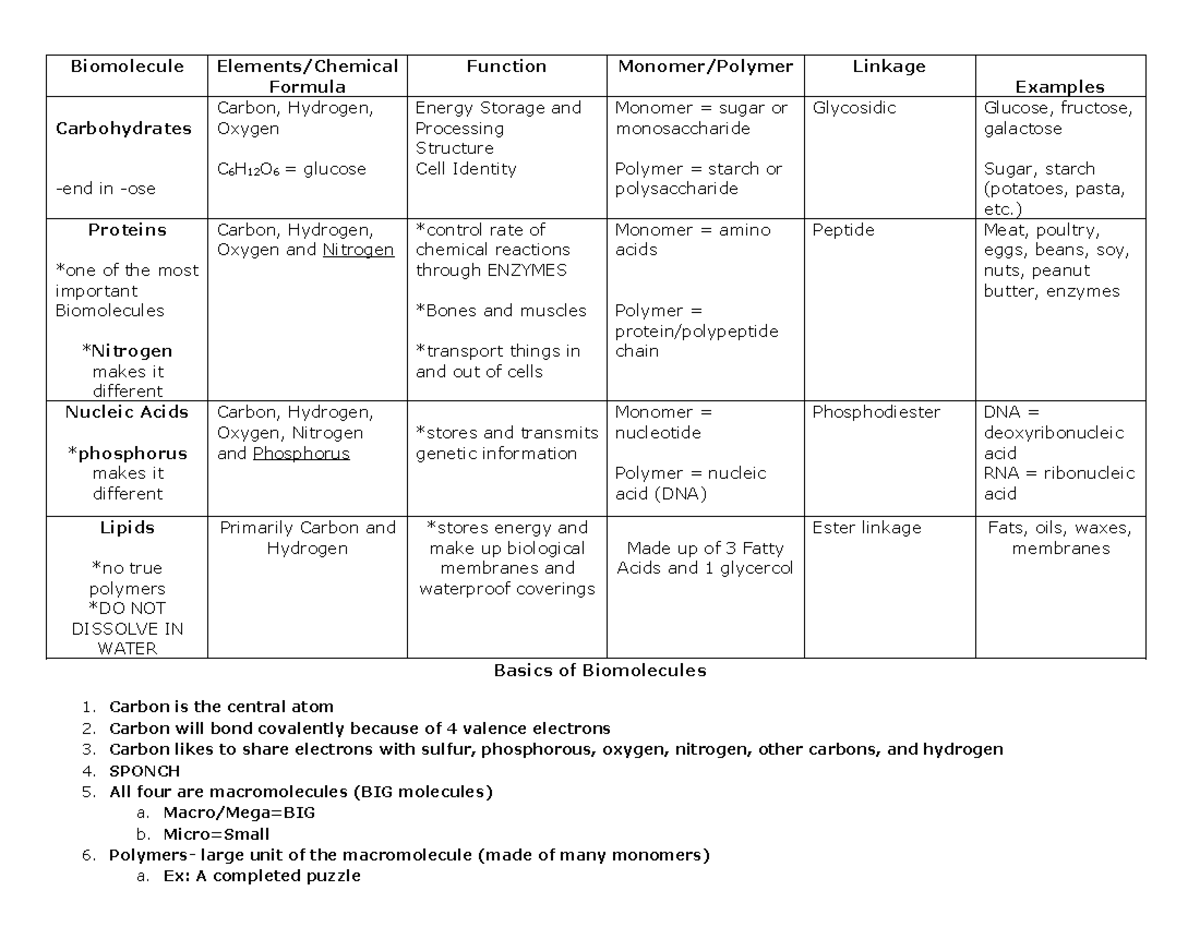 Biomolecules Chart - Lab: Carbohydrates, Proteins, Nucleic Acids, and ...