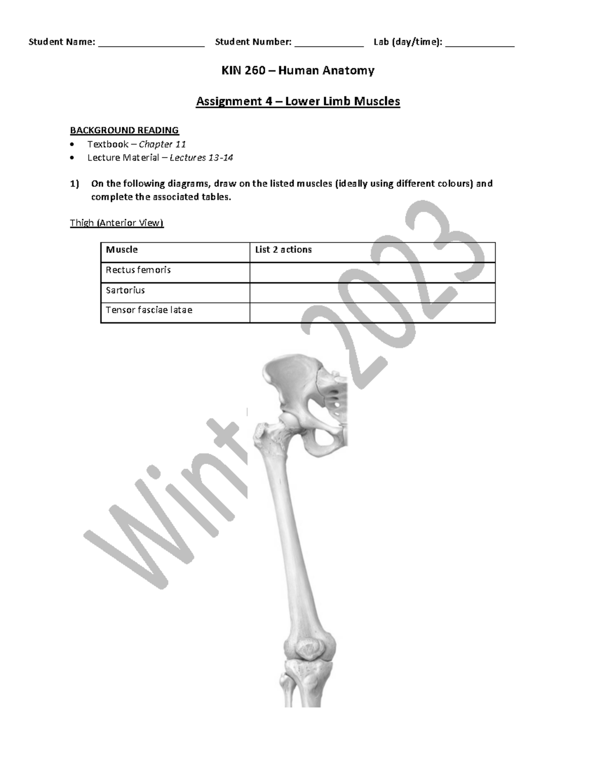 Lab 4 - Assignment - Lab 4 Practice - Student Name ...