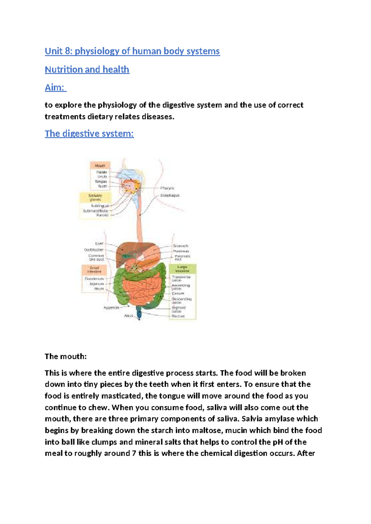 Nutrition and Health: Physiology of the Digestive System (Unit 8) - Studocu