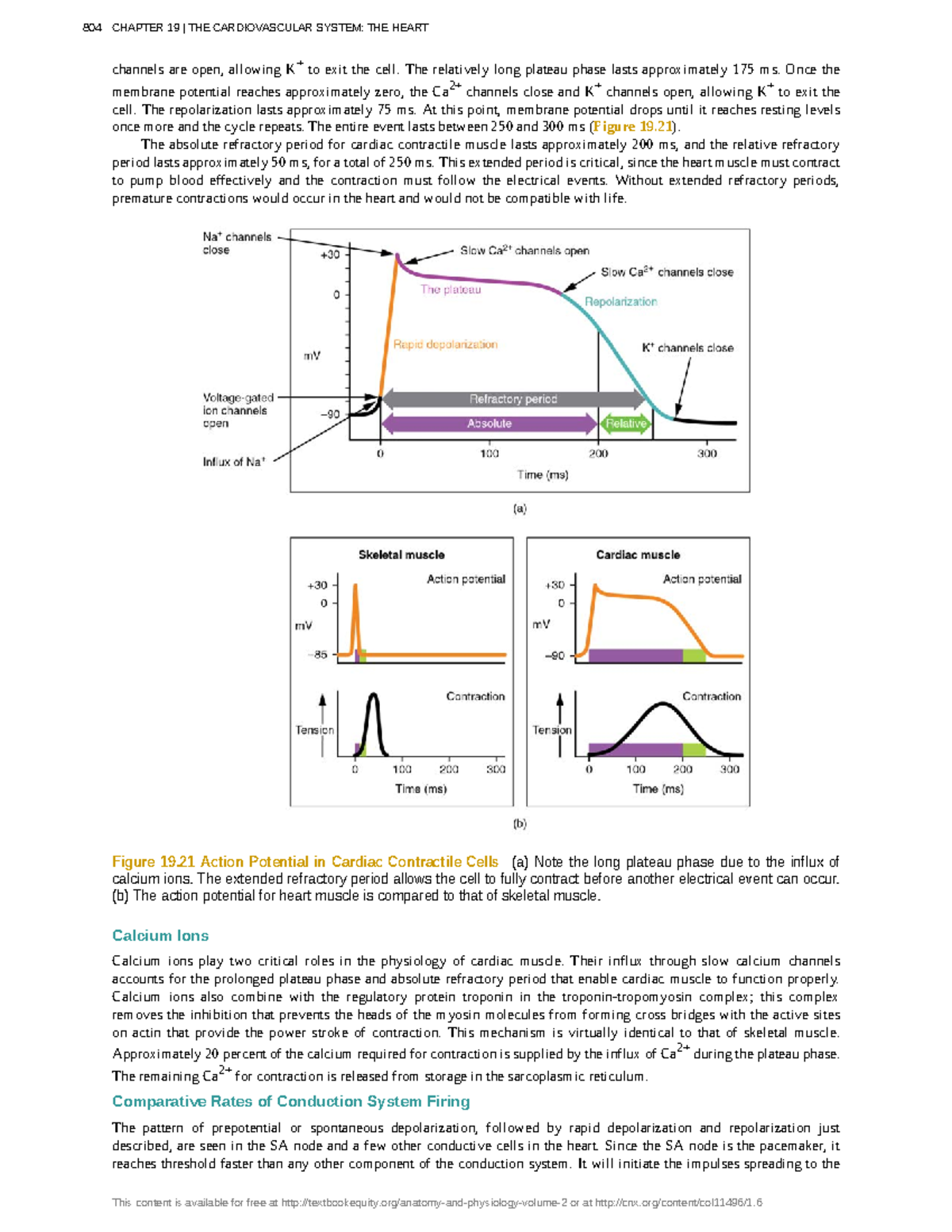 Ana Phy-351-355 - Anaphy Lectures Collection - channels are open ...