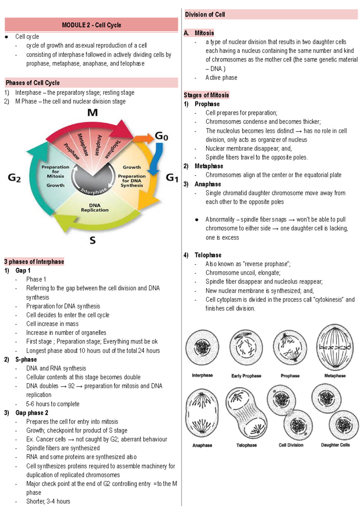 Cell Cycle - MODULE 2 - Cell Cycle Cell cycle cycle of growth and ...