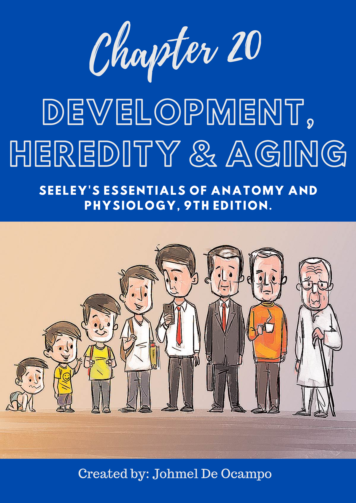 Anatomy Physiology (Chapter 20 Development, Heredity and Aging ...