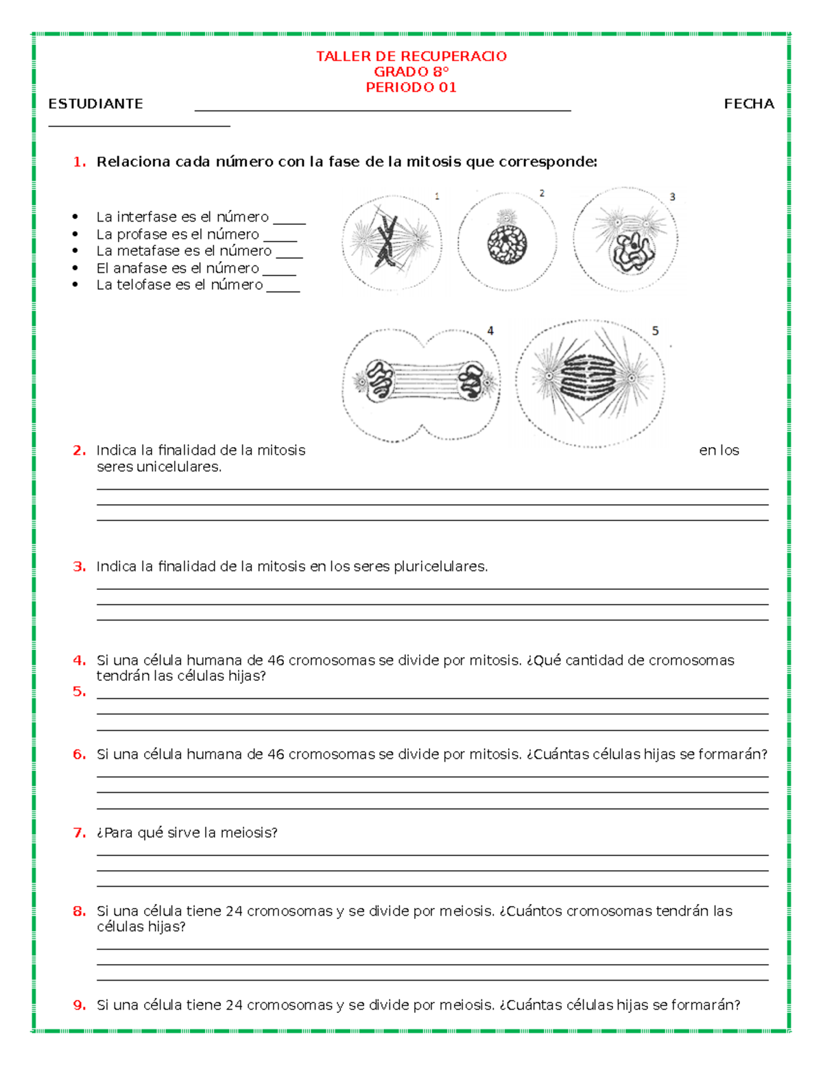 Taller de Recuperación: Mitosis y Meiosis - Grado 8° - Período 01 - Studocu